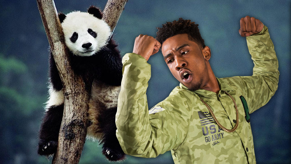 Desiigner ‘consigue’ que los pandas ya no estén en peligro de extinción