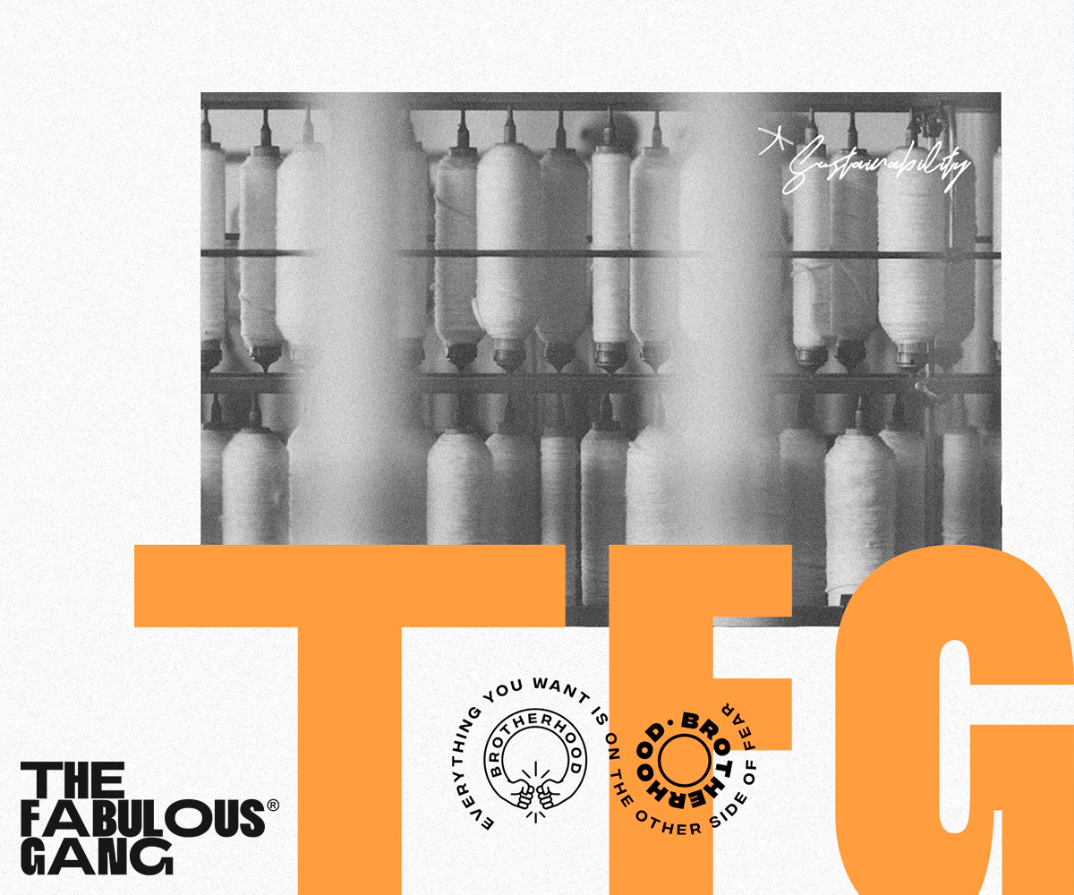 Explorando The Fabulous Gang y su The Brotherhood Collection