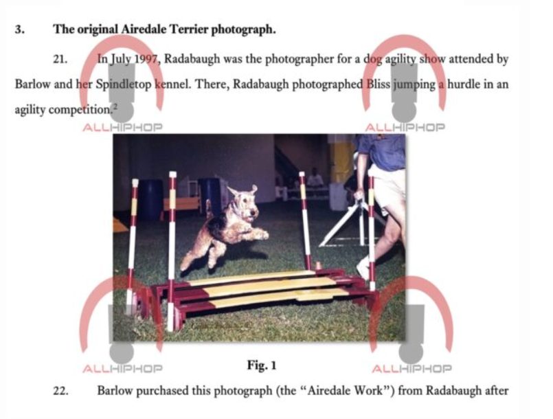 Demandan a Tyler, The Creator por usar la imagen de un perro sin permiso